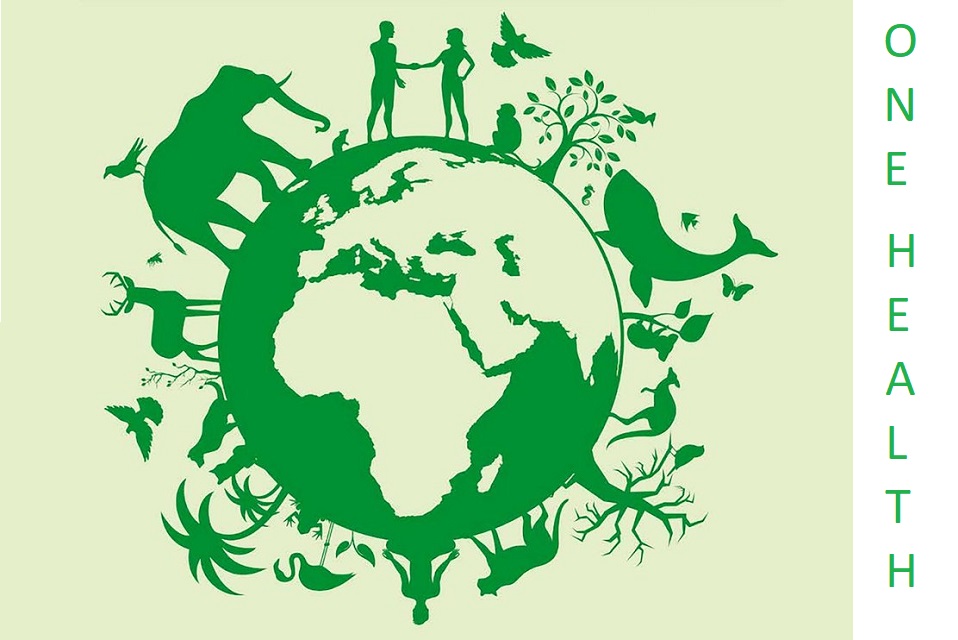 CLN AND RA Statement presented at CBD Virtual Session on Biodiversity, One